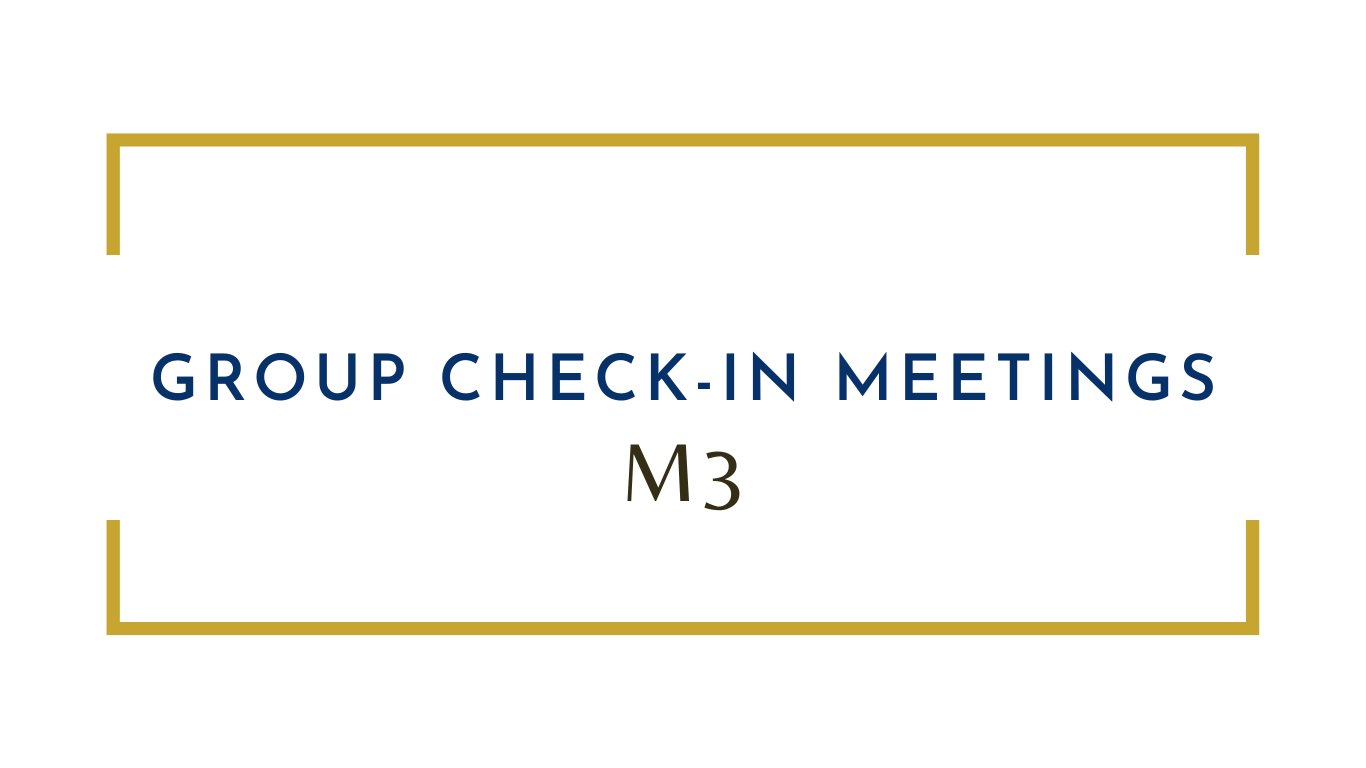 Group Check-In Meetings - M3